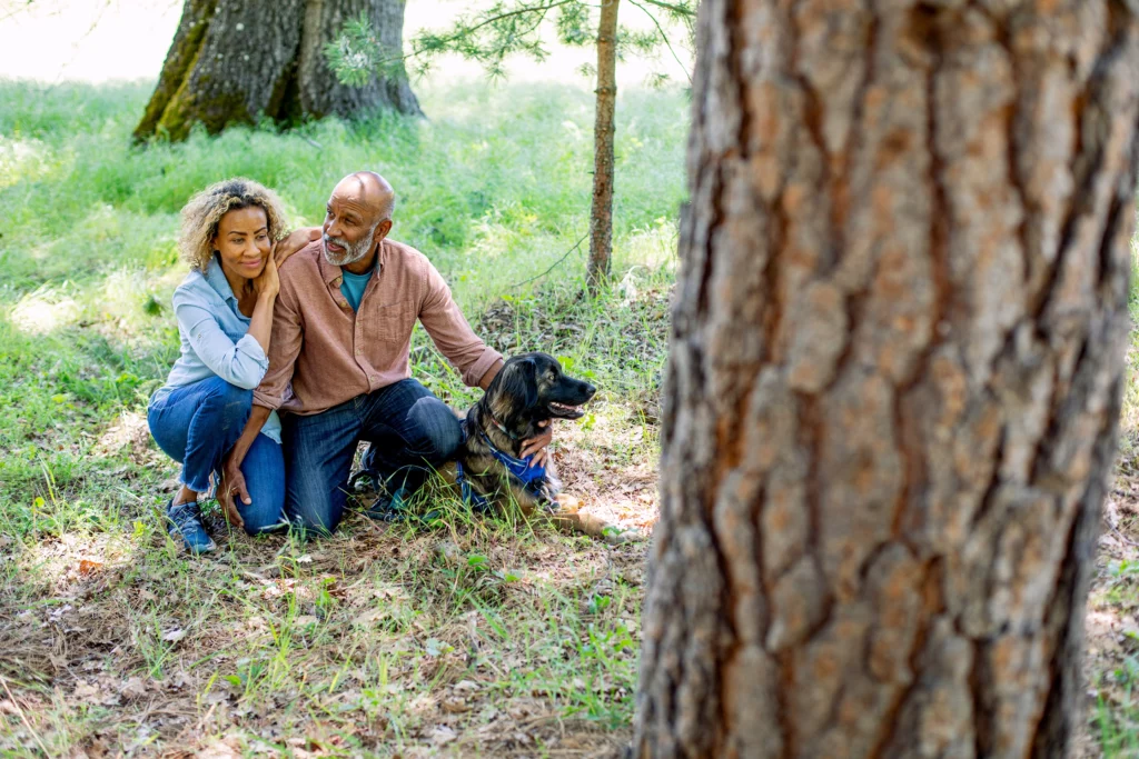 How We Protect Our Forests | Better Place Forests